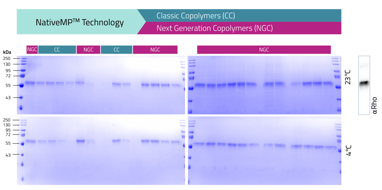 NativeMP™ Technology