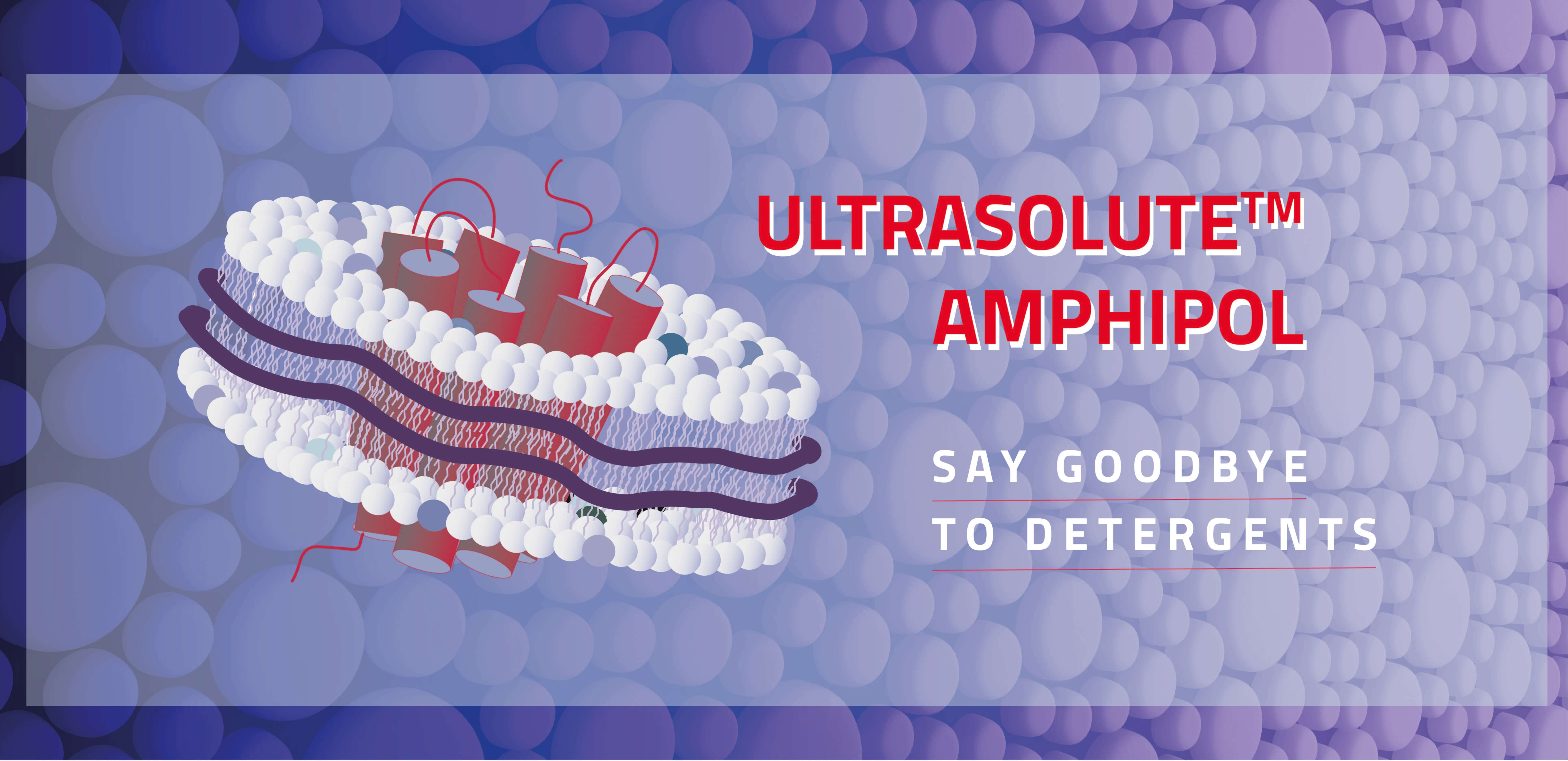 Features of Ultrasolute Amphipol