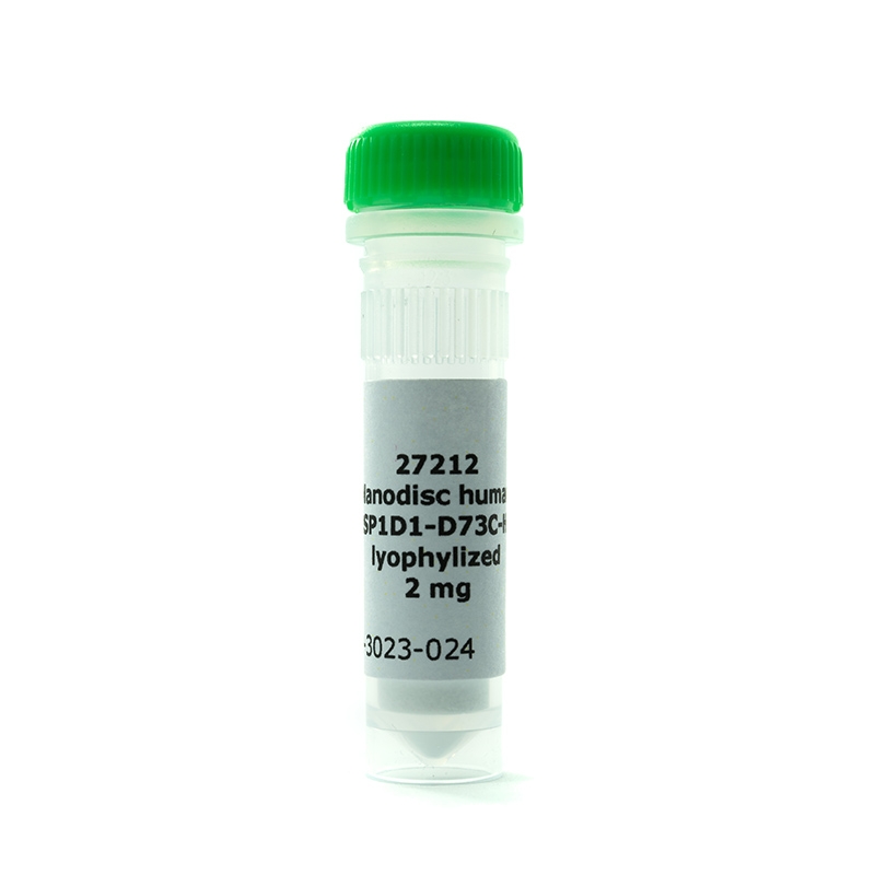 MSP1D1-D73C-His, lyophilized protein