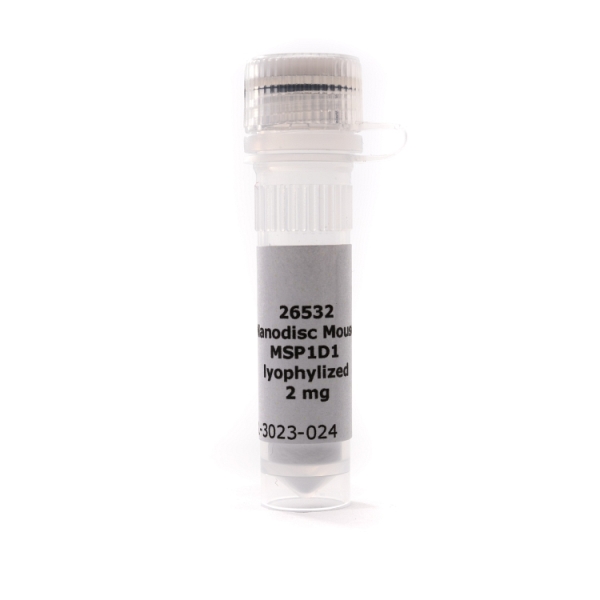 mouse MSP1D1, lyophilized protein | Mouse | 2 mg | 26532